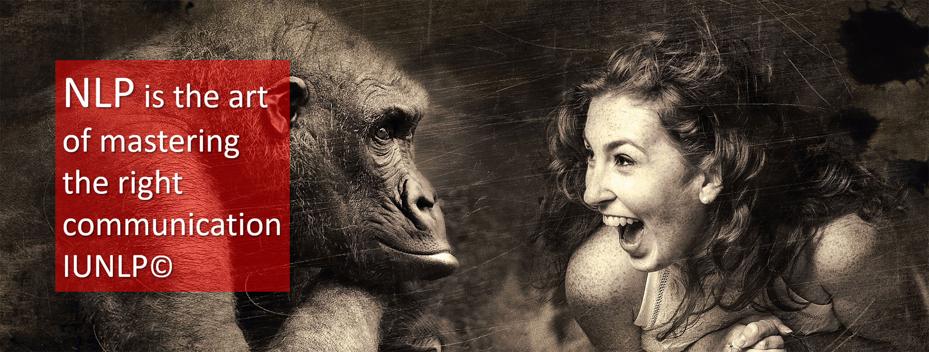 More than 20 reasons why the new generation of NLP is amazing